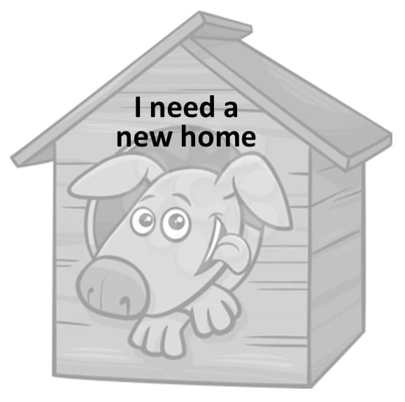 Wadars | UK Dog Rescue Charity in Wadars, Sussex | Rescue Finder
